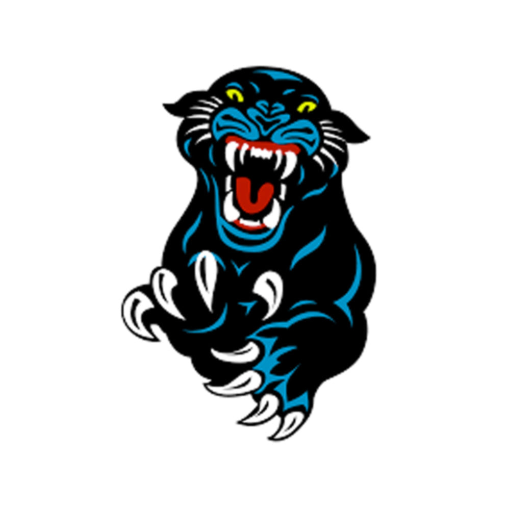 Borough of Manhattan Community College Panthers Official Team Apparel