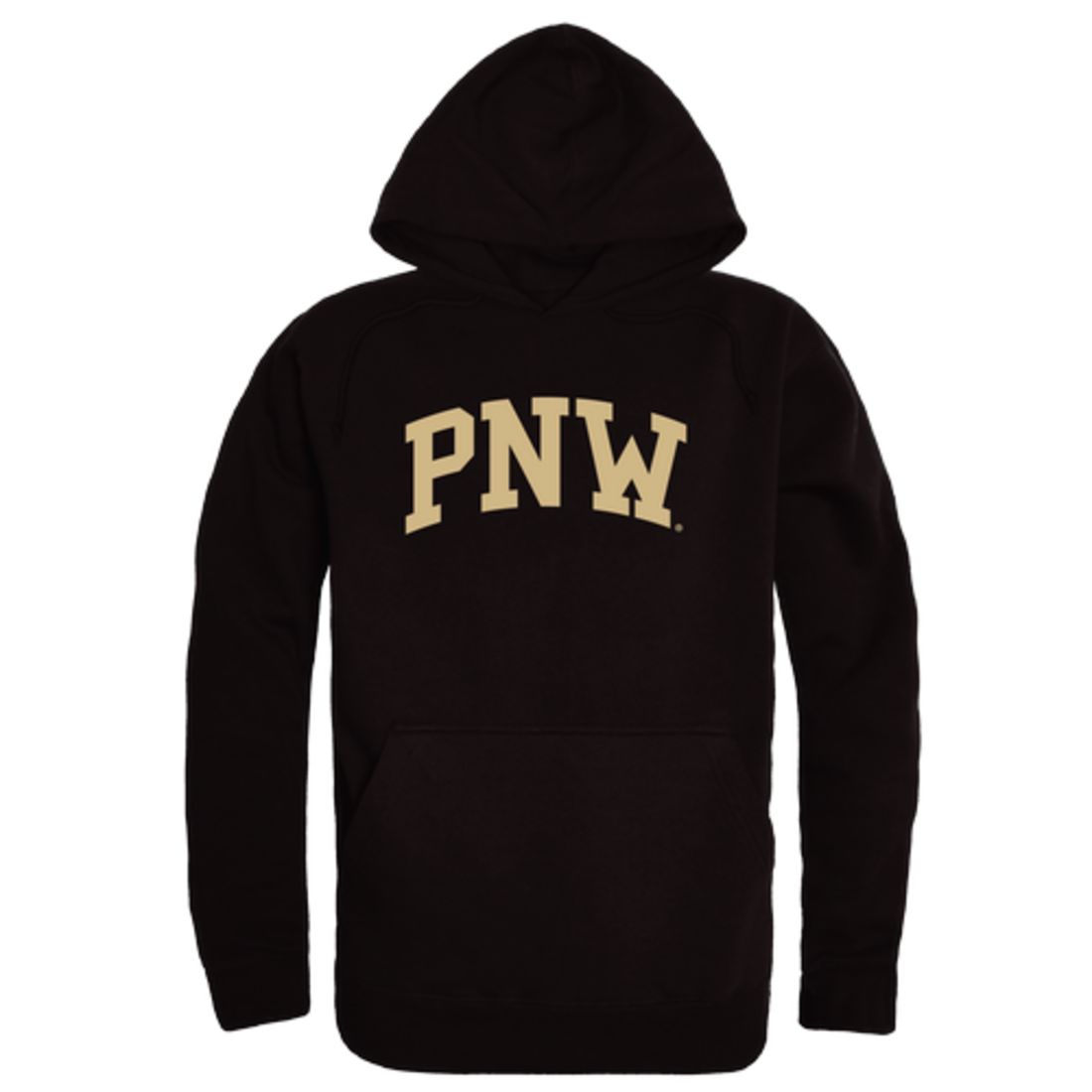 Purdue University Northwest Lion Collegiate Fleece Hoodie Sweatshirts