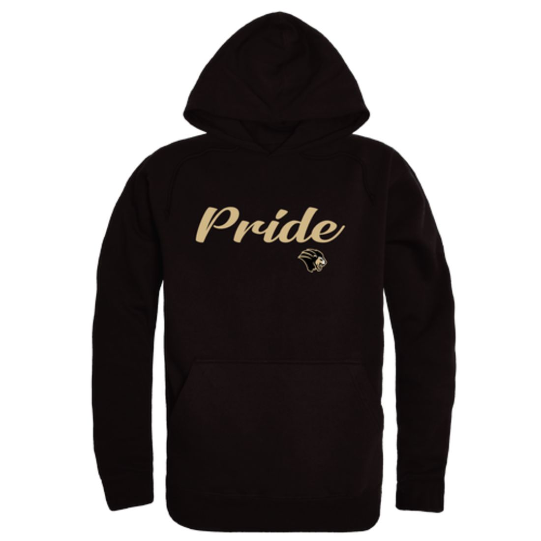Purdue University Northwest Lion Script Fleece Hoodie Sweatshirts