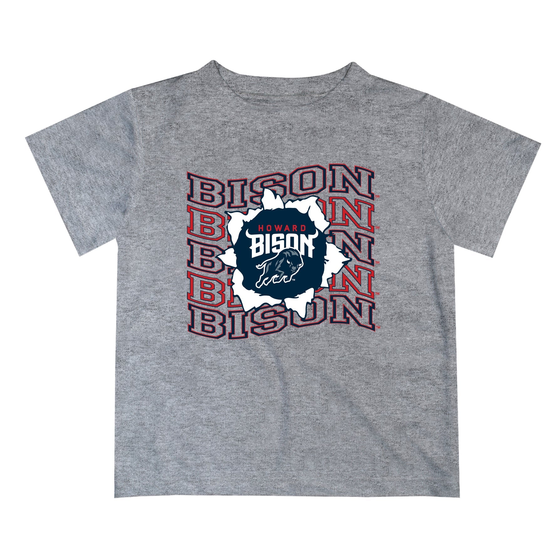 Howard University Bison Gray Art Short Sleeve Tee Shirt by Vive La Fet