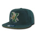 NCAA University Of Vermont Catamounts Freshmen Snapback Baseball Caps